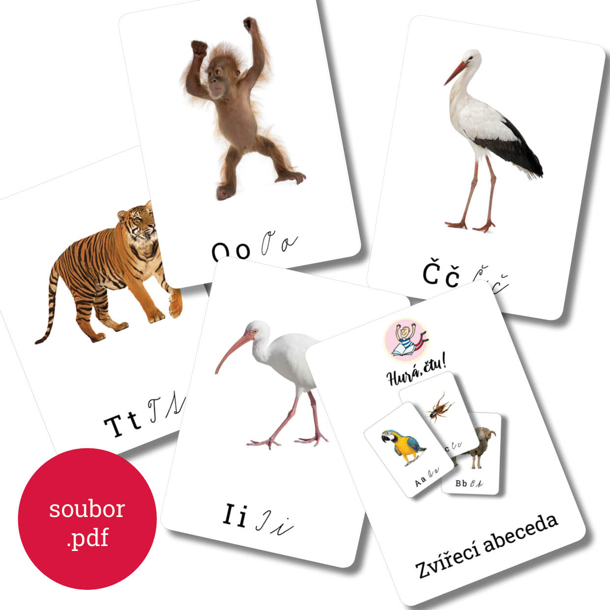 Zvířecí abeceda – karty (PDF) | huractu.cz